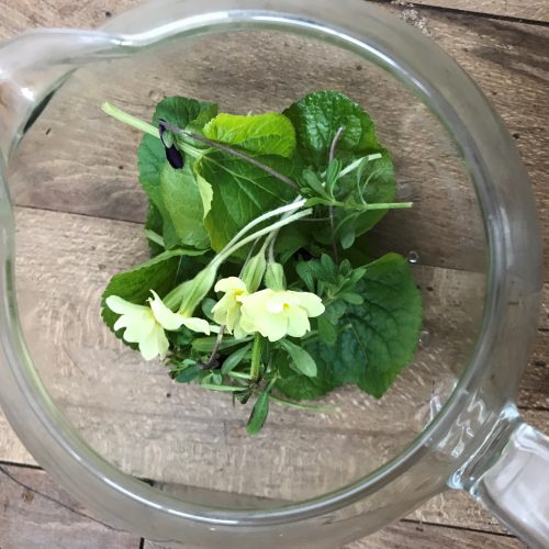 Primrose's Kitchen Muesli Granola | Superfood from Dorset